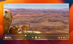 What is a VTT file and how to open .vtt file using Mac