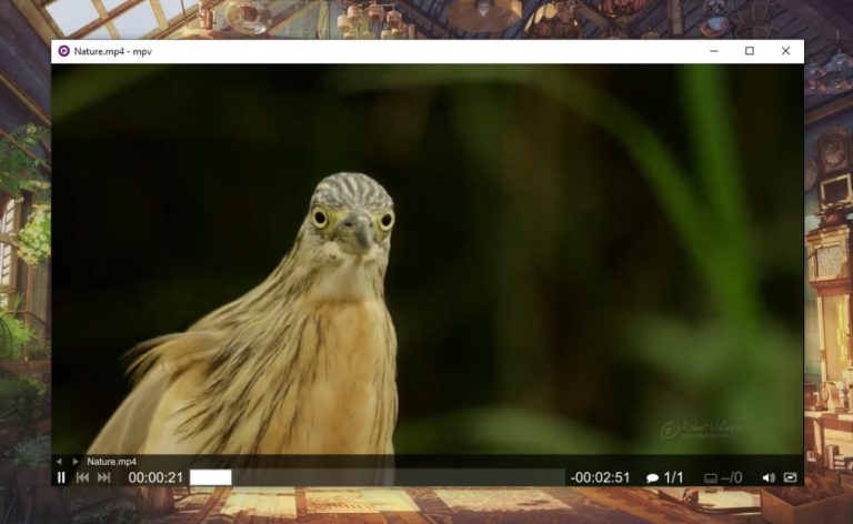 MPV vs VLC: which media player is better?