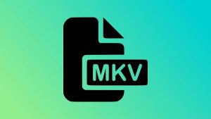 如何在 Mac 上播放 MKV 文件：2025 年的 3 个简单解决方案