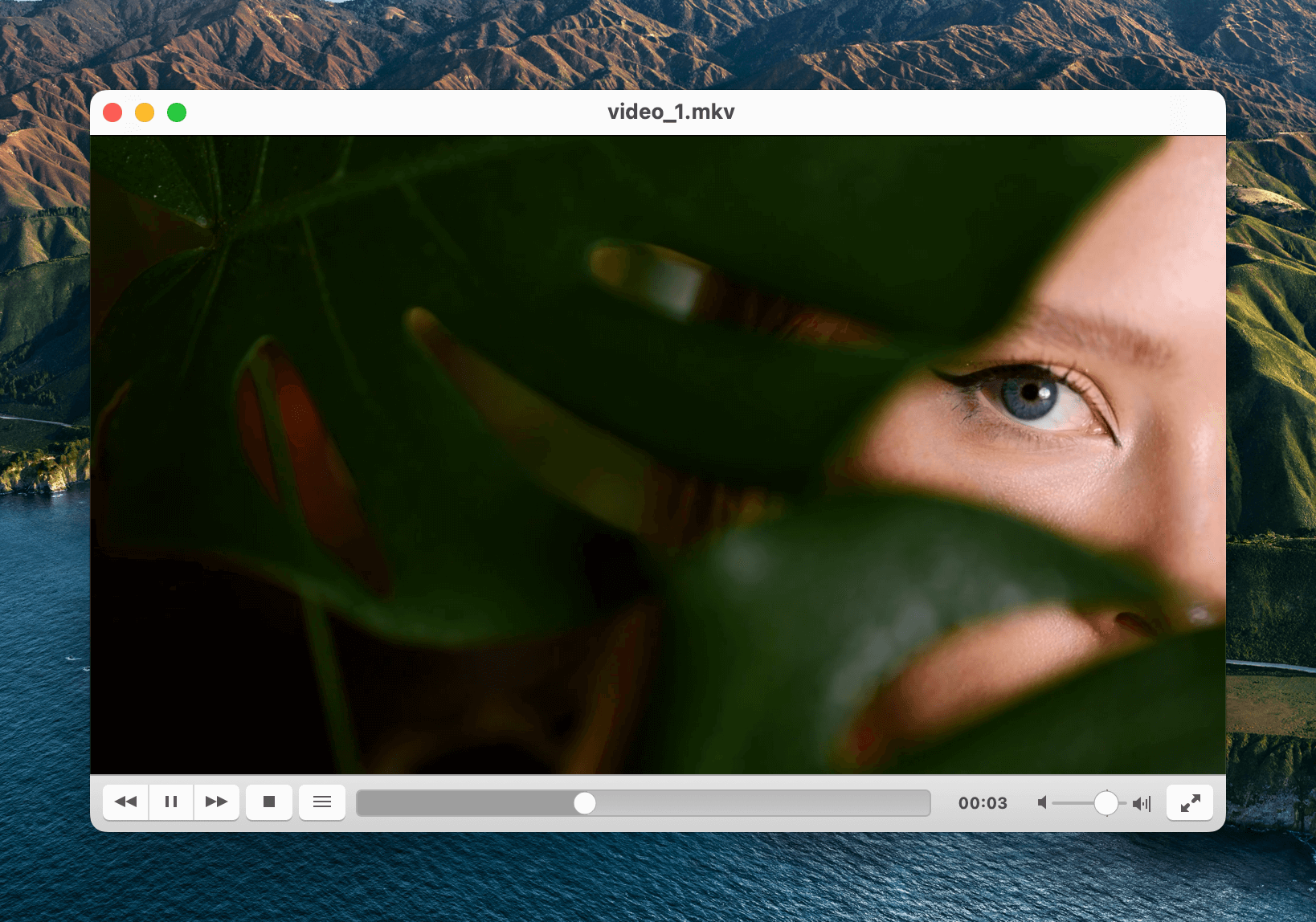 Best free MKV Players for Mac: List of Best Apps in 2026