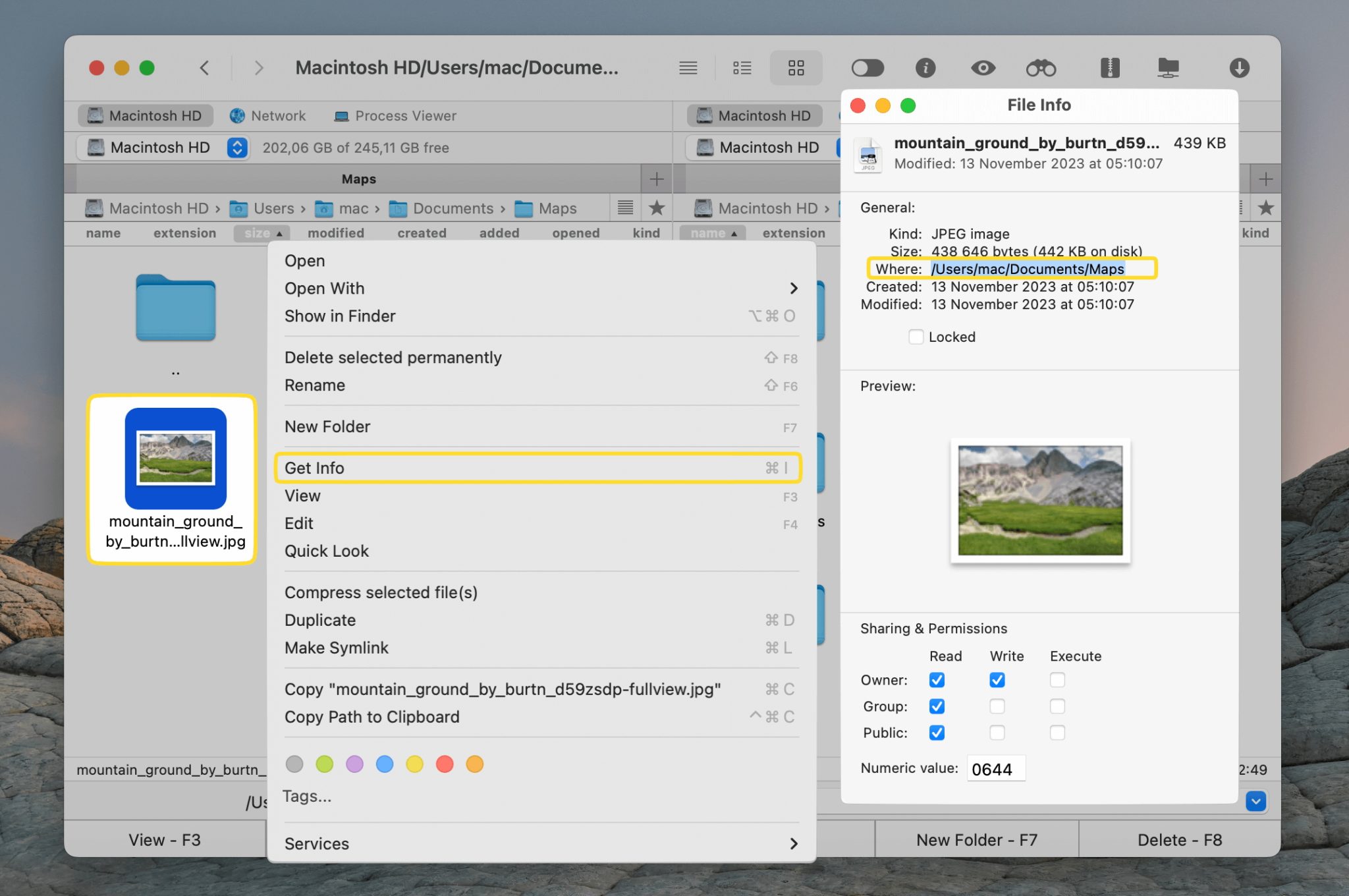 How to find the file path on Mac (proven methods 2025)