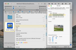How to find the file path on Mac (proven methods 2025)