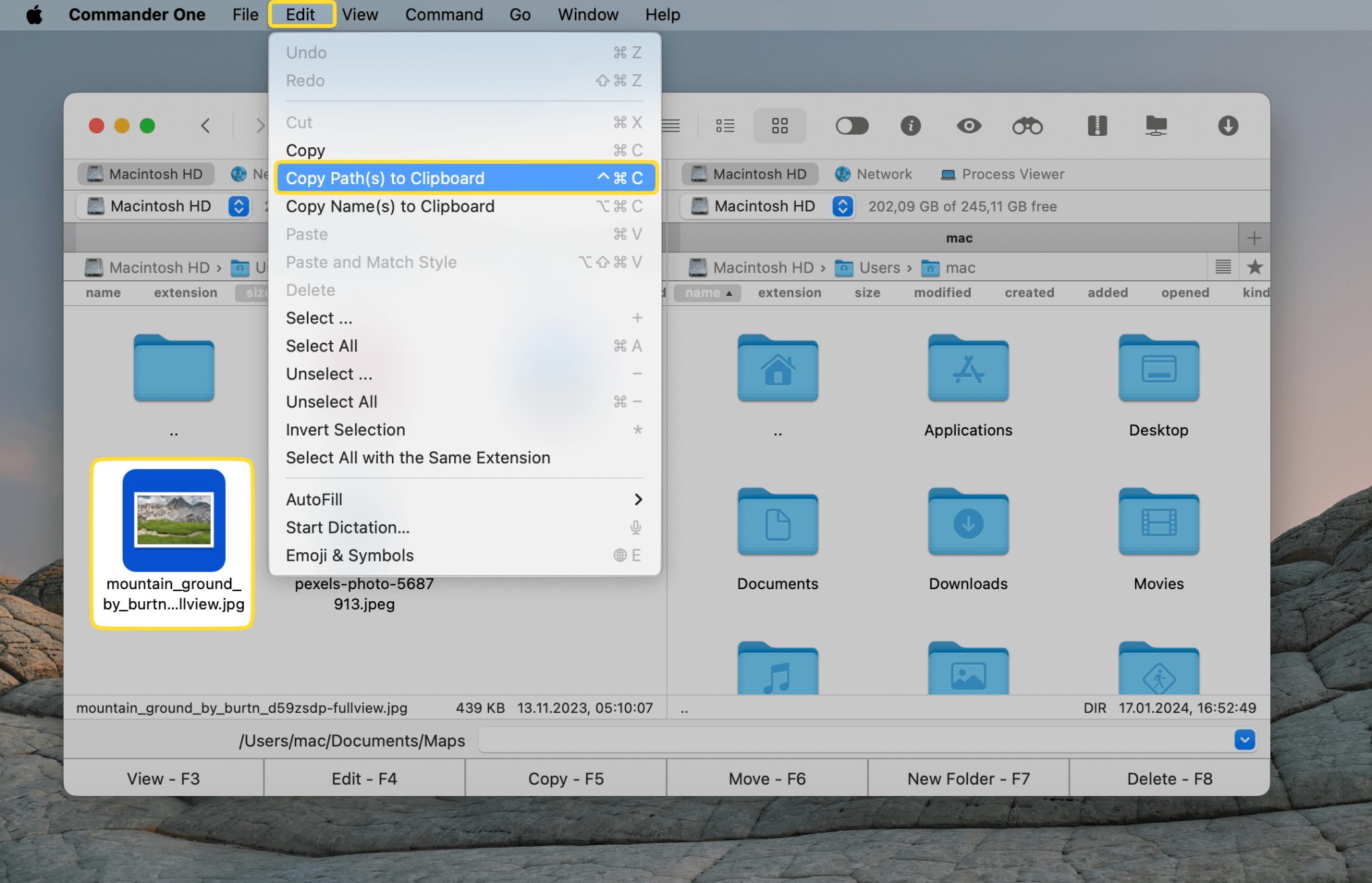 How to find the file path on Mac (proven methods 2025)