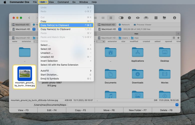 How to find the file path on Mac (proven methods 2025)