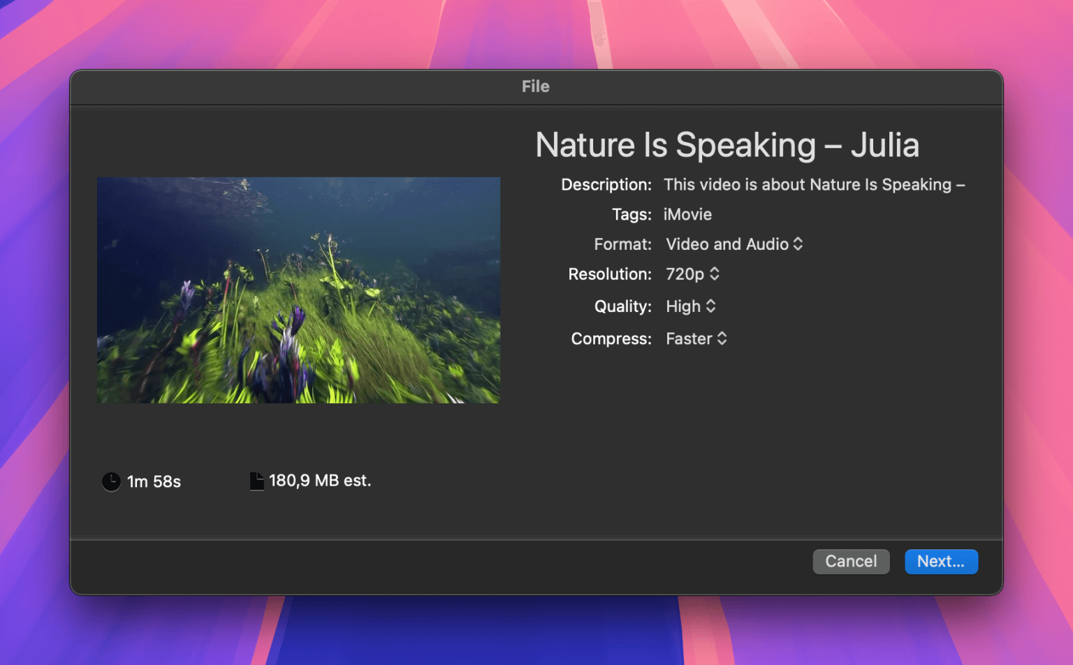 How to Convert MOV to MP4 on Mac [4 Tested Methods]