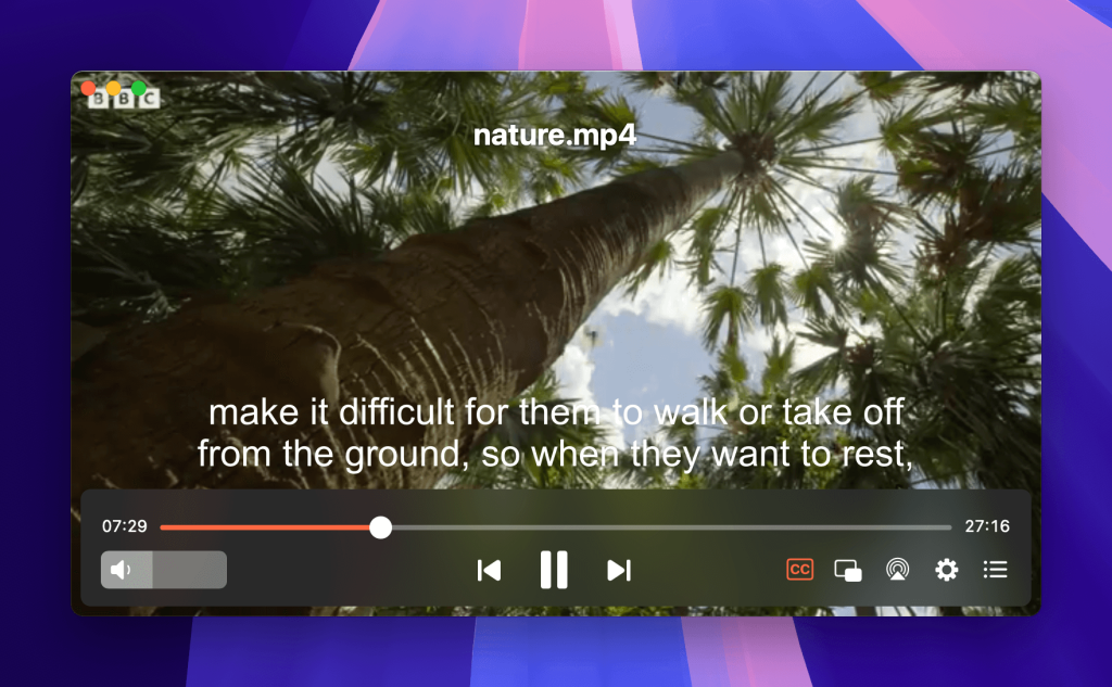 Subtitles Download Sites [Free] - 5 Best Working Picks for 2025