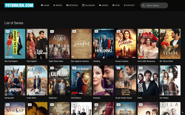 4 Best Turkish Series With English Subtitles & Top 3 Websites to Watch Them
