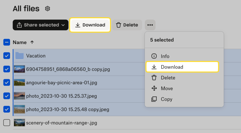 WebDAV to Dropbox: How to access a remote server by URL address